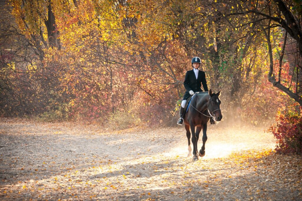 I'll be a good rider when... - Horse Rookie