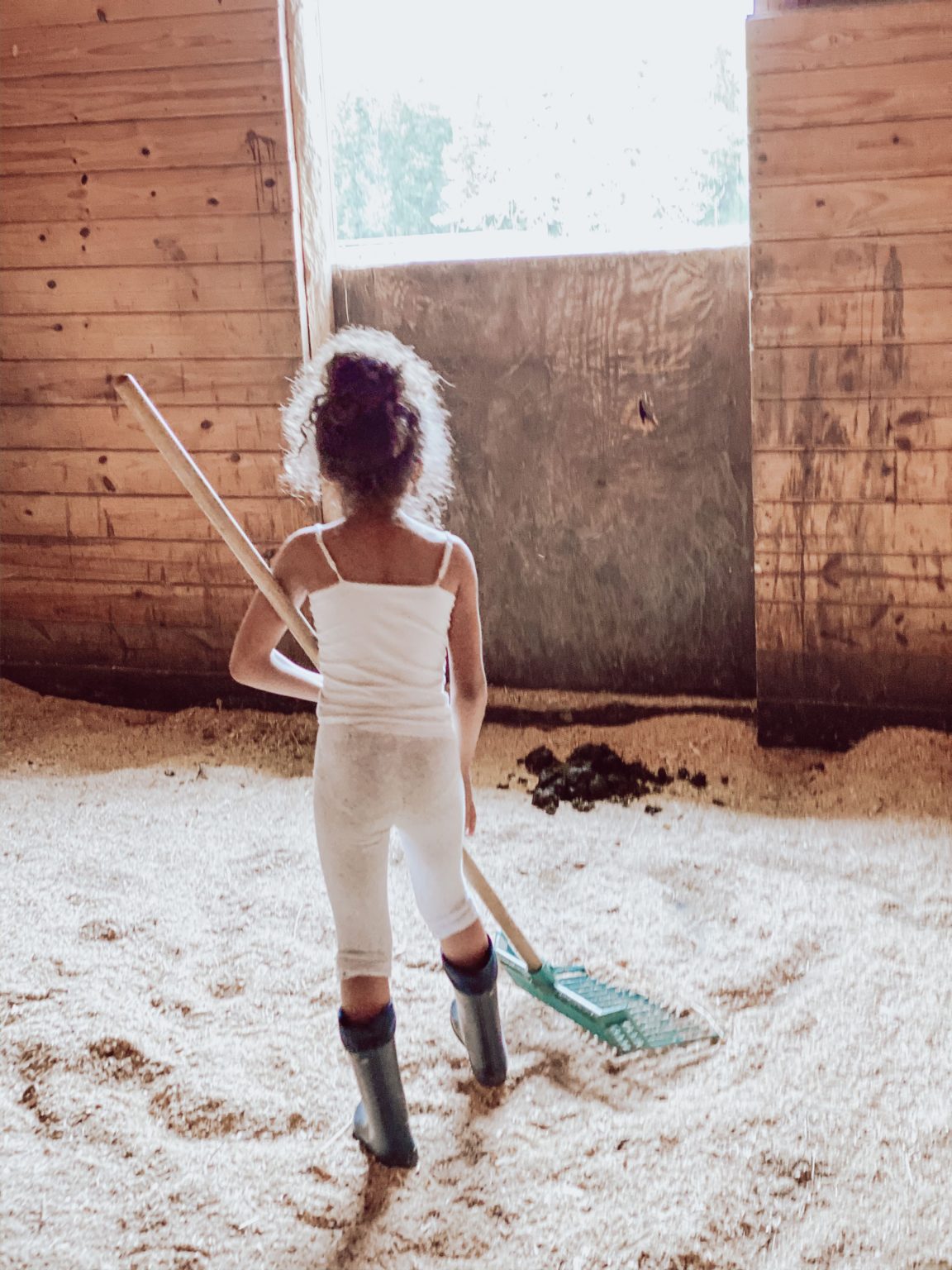 $hit Happens: 7 Best Boots for Mucking Stalls - Horse Rookie