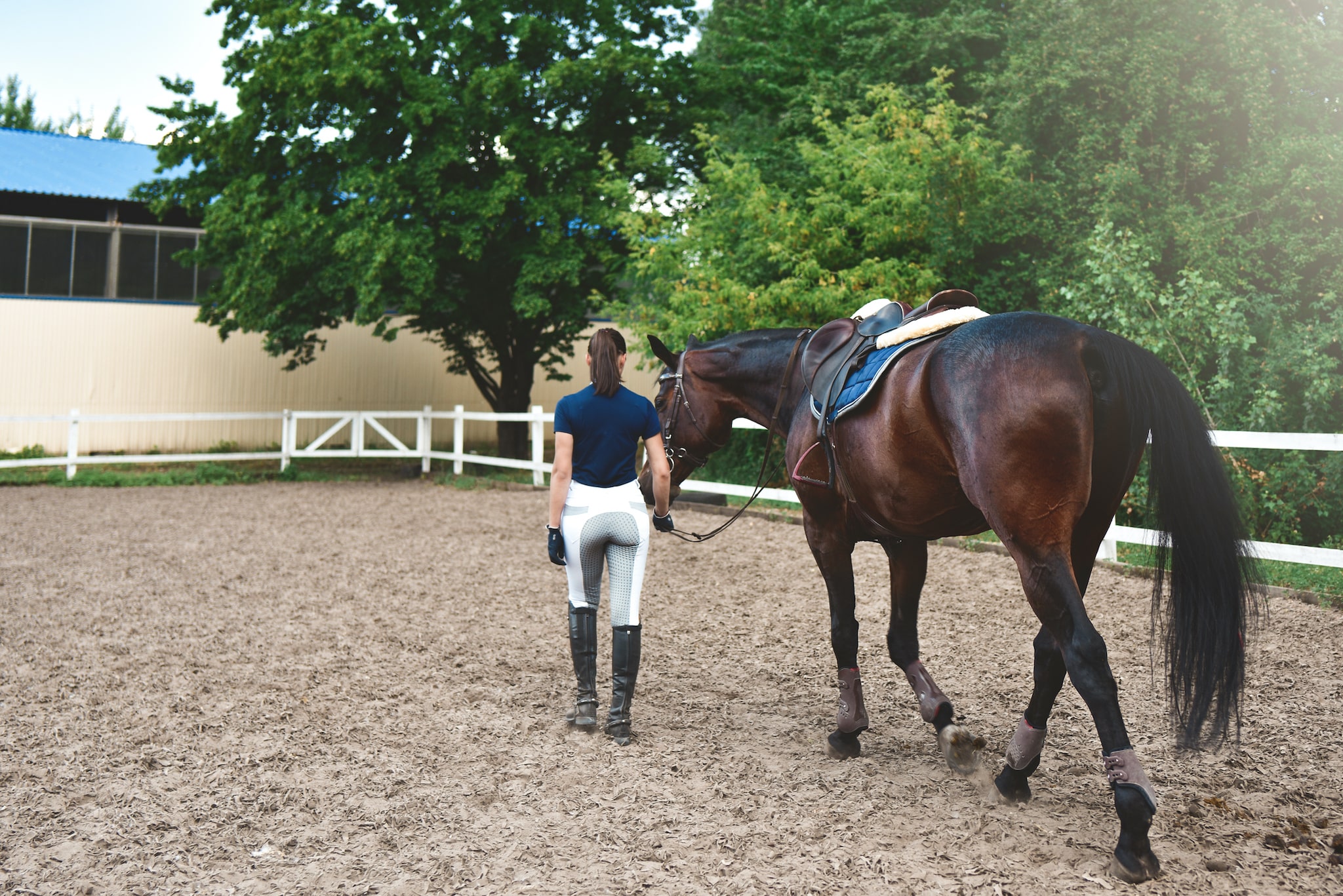 ‘A Touch of Class’ - Compeition Report - Horse Rookie