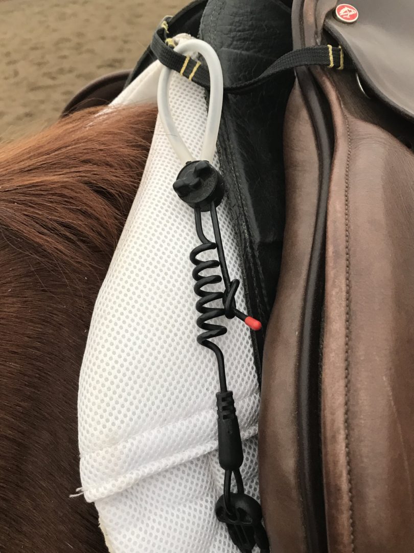 Equestrian Hit Air Vest Review: My Favorite Fall in 30 Yrs