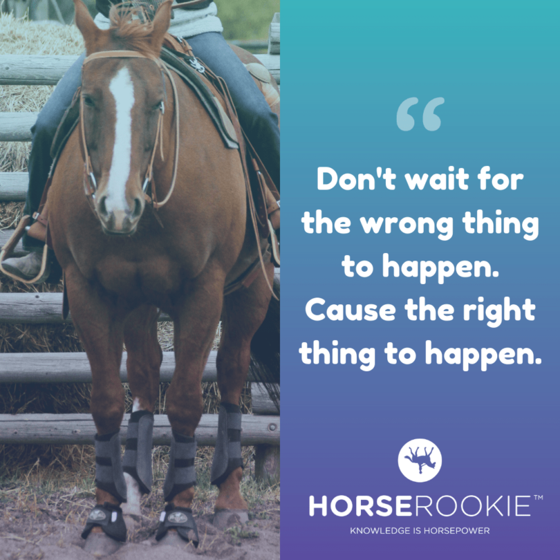 33 Things You Can Do Now to Calm Riding Nerves Forever - Horse Rookie
