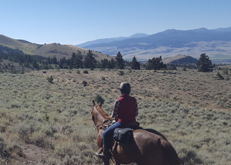 Rookie Rundown: What to Wear Horseback Riding in Montana - Horse Rookie