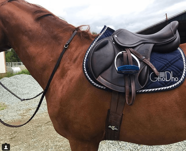 11 Best Stirrups for Jumping Clear (and Staying Safe) - Horse Rookie