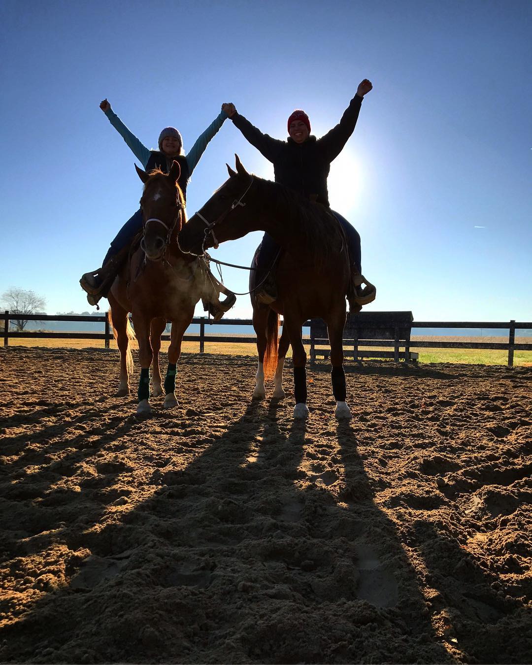 Horseback Riding in College: Tips from Shelbe Jarrett - Horse Rookie