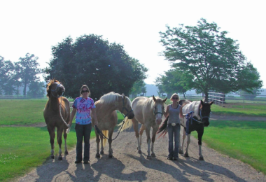 Horse Riding for Older Adults: Why It’s Never Too Late - Horse Rookie