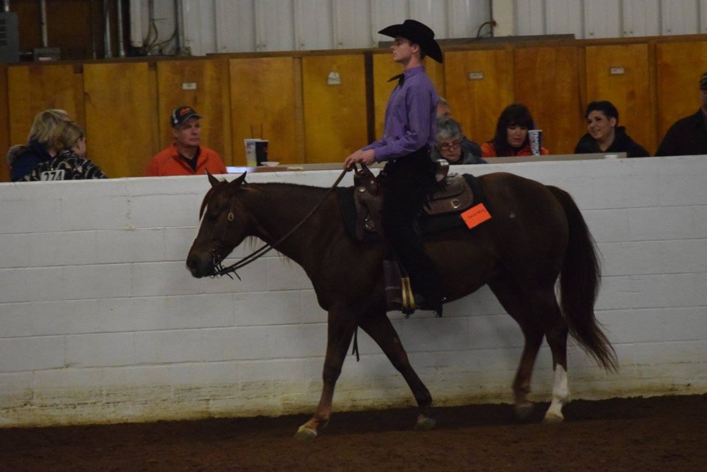 Horseback Riding in College: Tips from Bryant Fox - Horse Rookie
