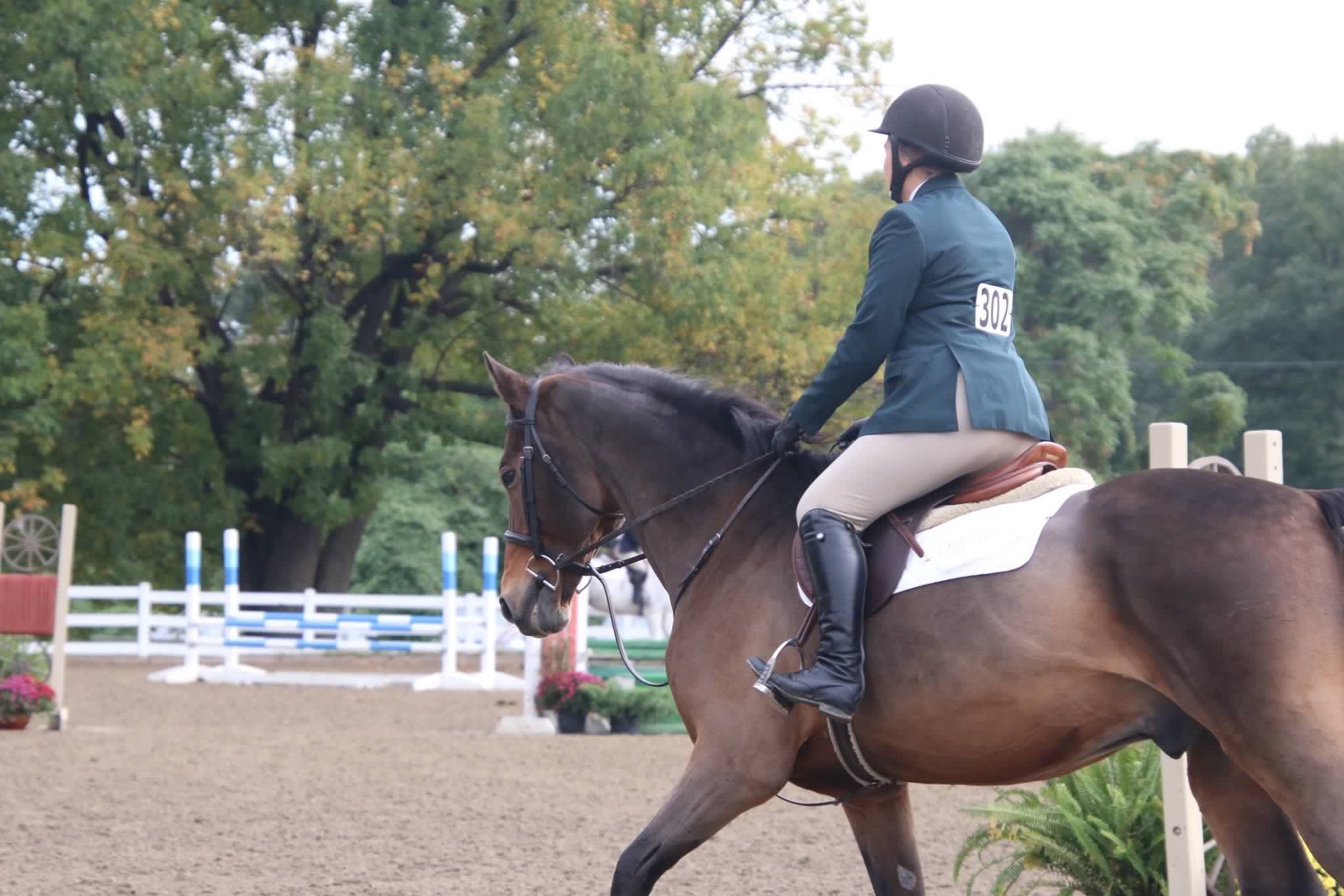 Horseback Riding in College: Tips from Mackenzie Ashe - Horse Rookie