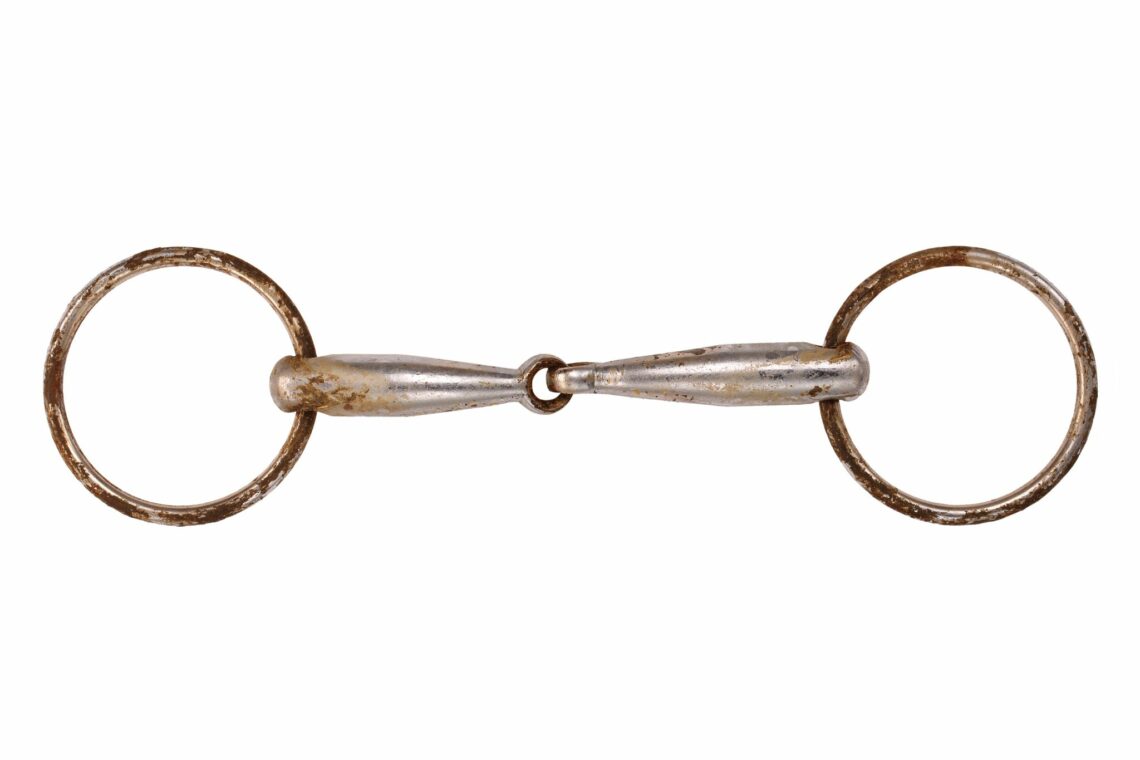 16 Common Types of Horse Bits (A Helpful Illustrated Guide) - Horse Rookie
