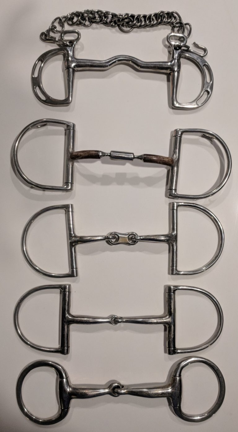 Best Bits For Quarter Horses (A Helpful Illustrated Guide) - Horse Rookie