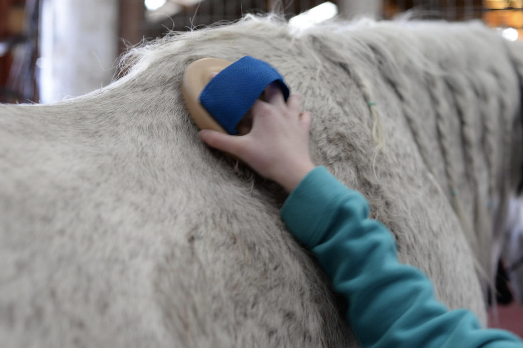 12 Gifts Barn Owners, Managers & Workers Will Actually Love - Horse Rookie