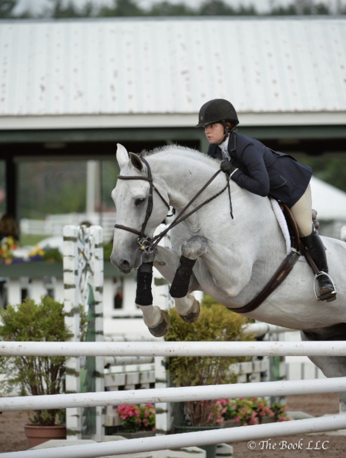 You’re Hired! How to Be a Star Working Student Equestrian