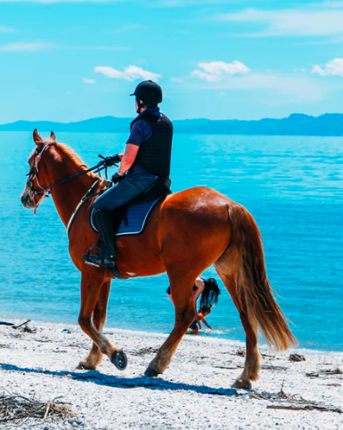 8 Best Horse Riding Helmets for Hot Weather Relief - Horse Rookie