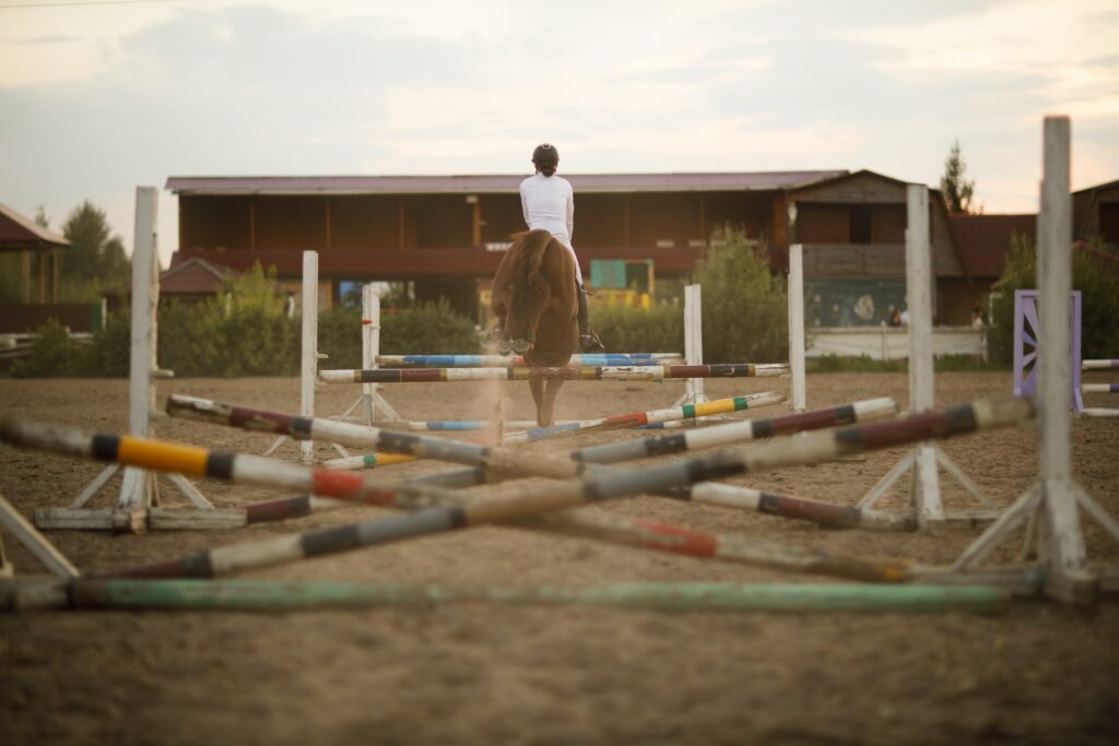 The perfect trap - Horse Rookie