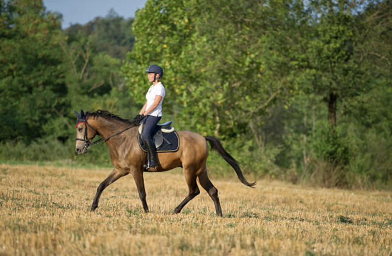 Summer Horseback Riding: What to Wear & What NOT to Wear - Horse Rookie