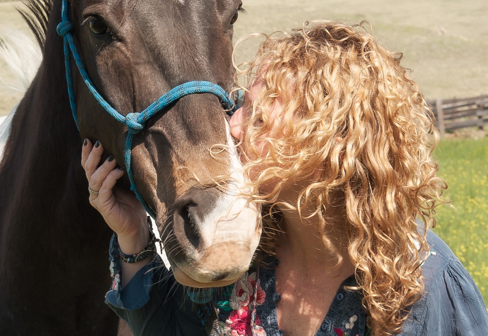 Ranch Roundup: 10 Best Horseback Riding Vacations in Montana - Horse Rookie