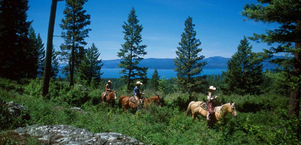 Ranch Roundup: 10 Best Horseback Riding Vacations in Montana - Horse Rookie