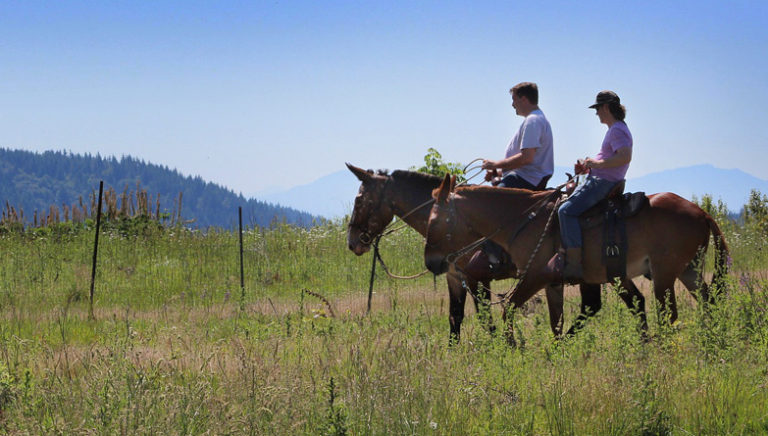 Ranch Roundup: 10 Best Horseback Riding Vacations in Montana - Horse Rookie