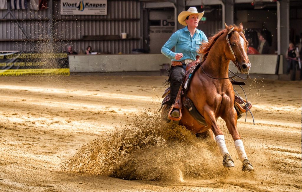 5 Weird Reining Stop Tips That Actually Work - Horse Rookie