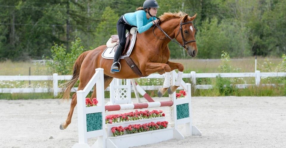 5 Best Spurs for Beginners (And Their Horses)