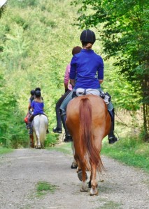 7 Best Spurs for Beginners (And Their Horses) - Horse Rookie