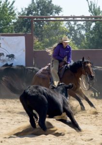 20 Different Types of Western Riding (With Video Examples) - Horse Rookie