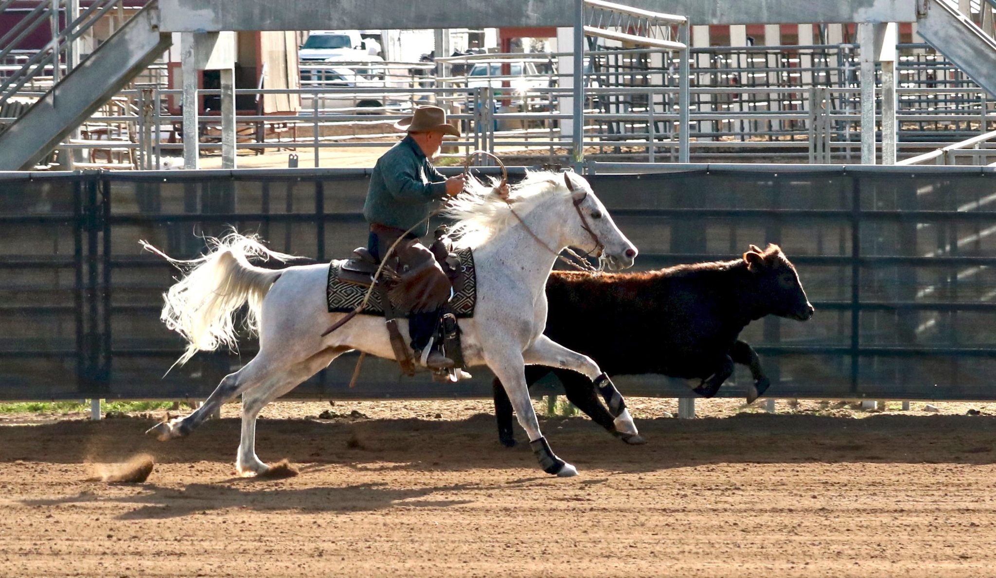 20 Different Types of Western Riding (With Video Examples) - Horse Rookie