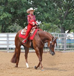 20 Different Types of Western Riding (With Video Examples) - Horse Rookie