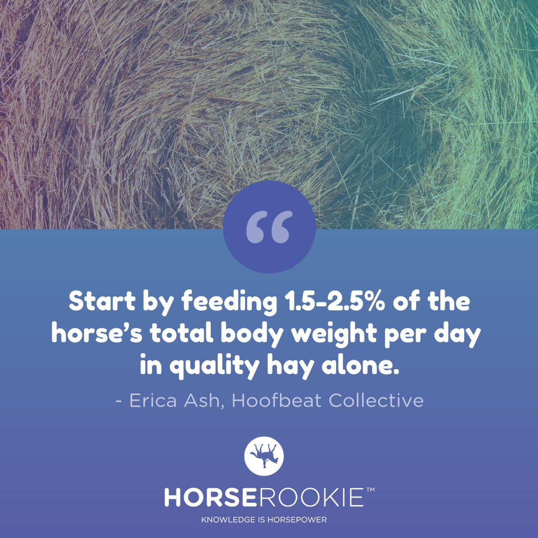 Winter Hay 101: How Much to Feed Your Horse (And Why) - Horse Rookie