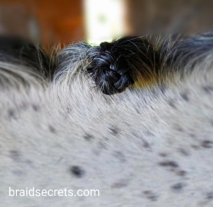 Expert Tips on How to Create the 3 Easiest Mane Braids