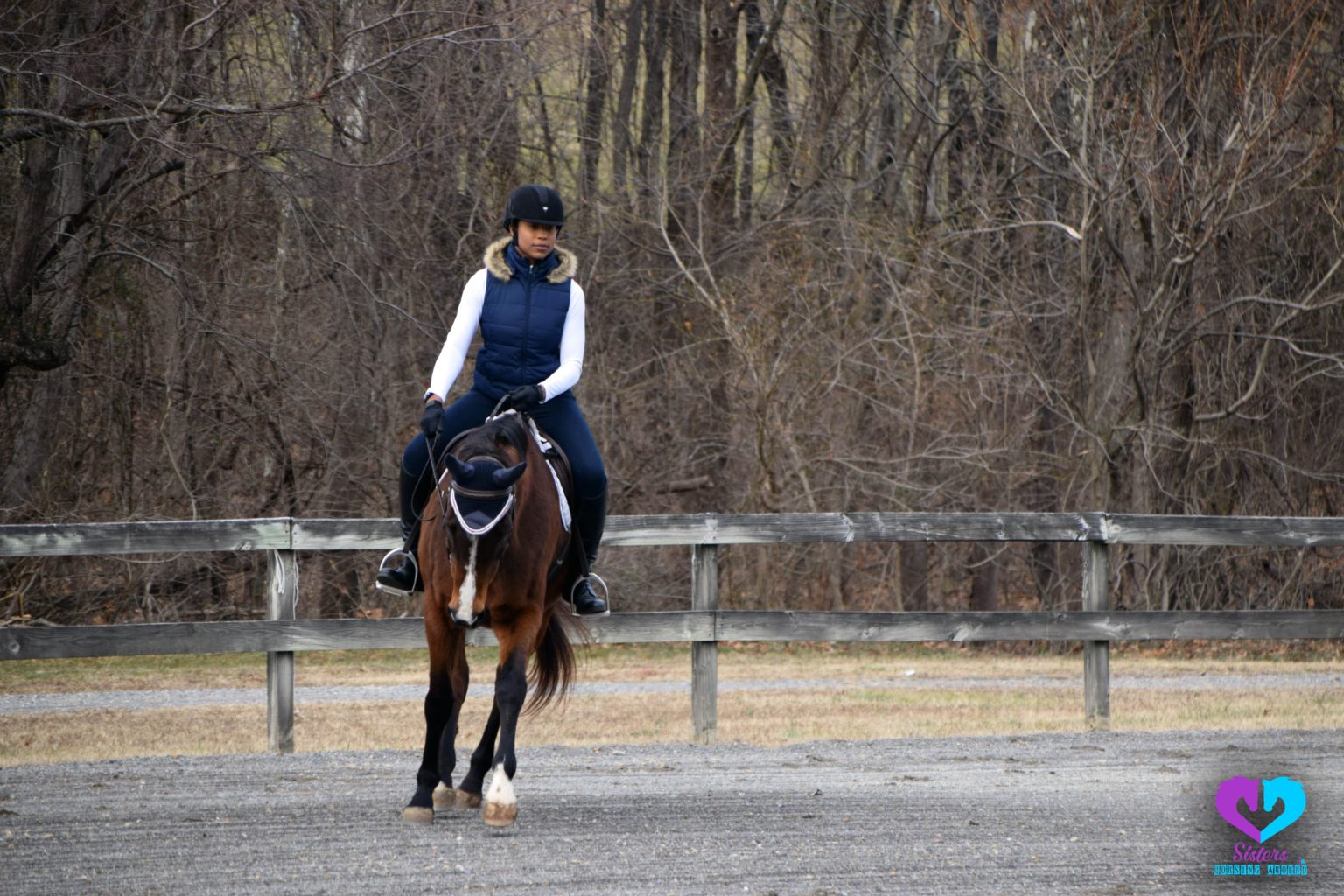 Horse Show Jumping: A Complete Beginners Guide - Horse Rookie