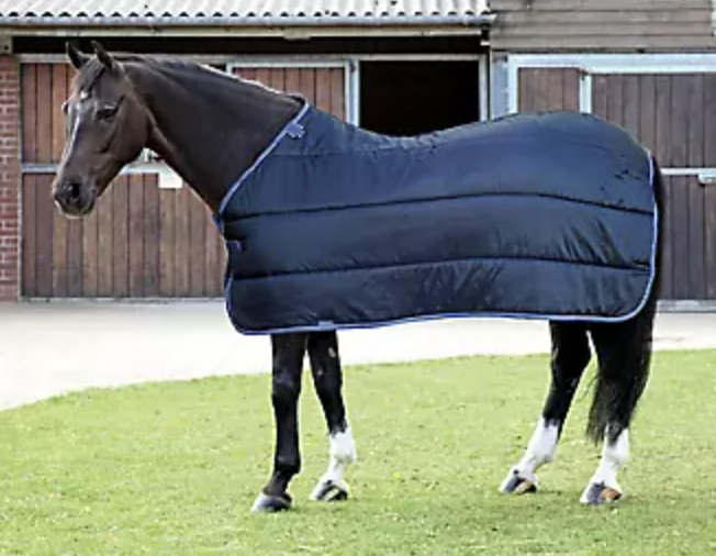 9 Best Blankets for Happy Horses (Winter, Turnout, Rain) - Horse Rookie