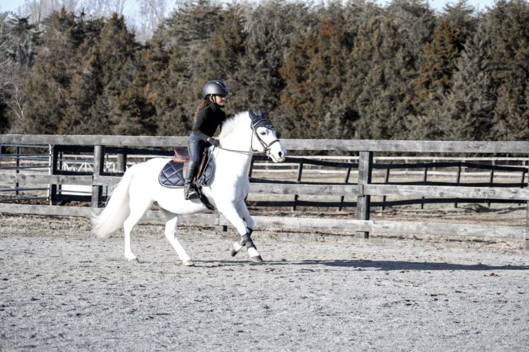 12 Pointers for Jumping Crossrails with Confidence - Horse Rookie