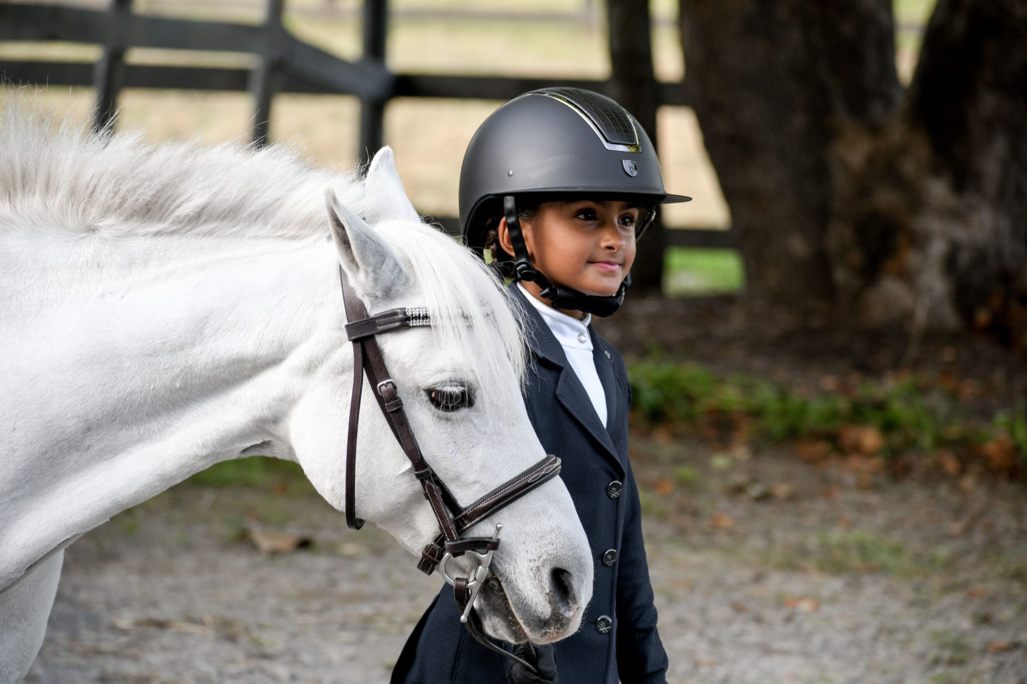 12 Pointers for Jumping Crossrails with Confidence - Horse Rookie