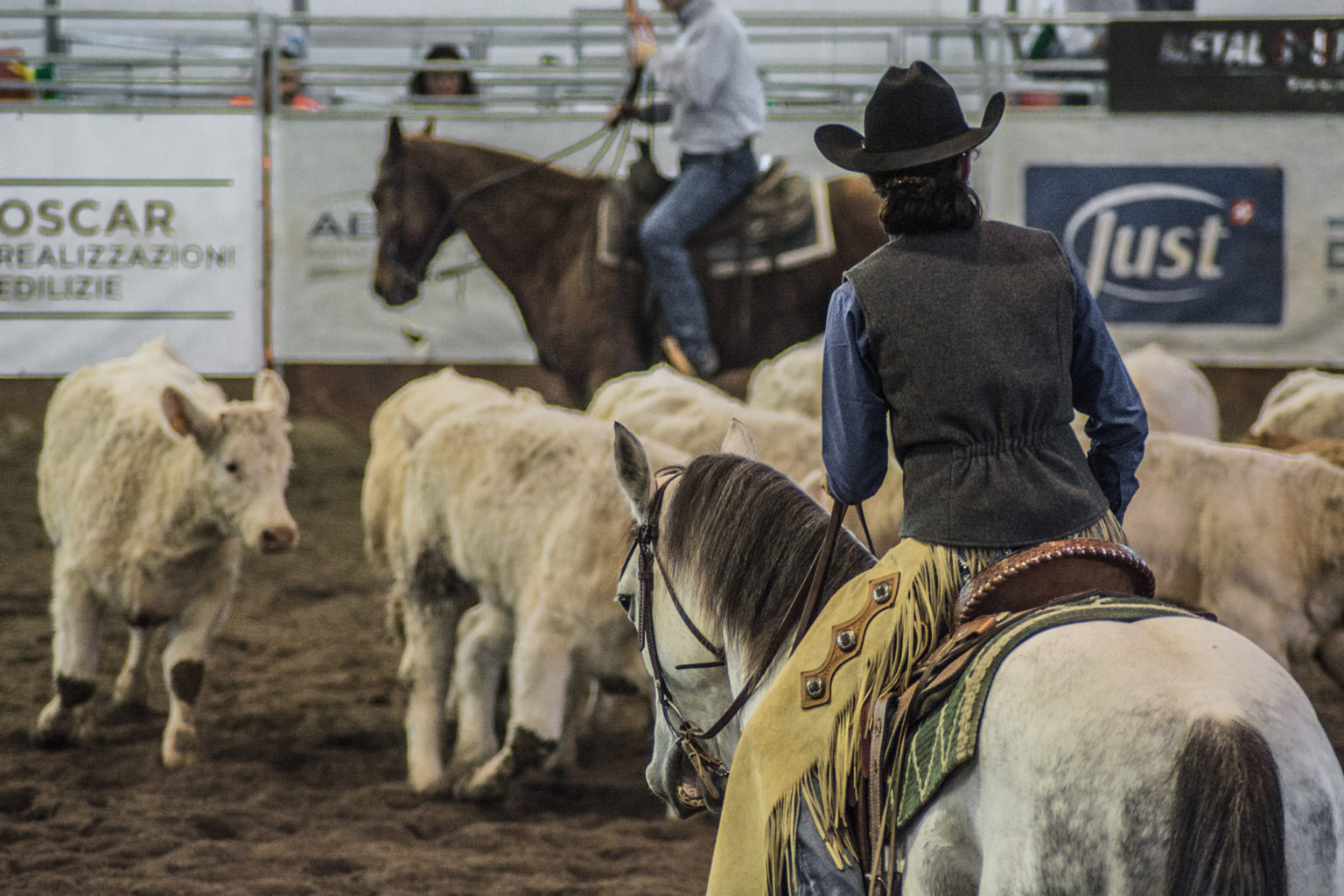 What is a turn back horse? - Horse Rookie
