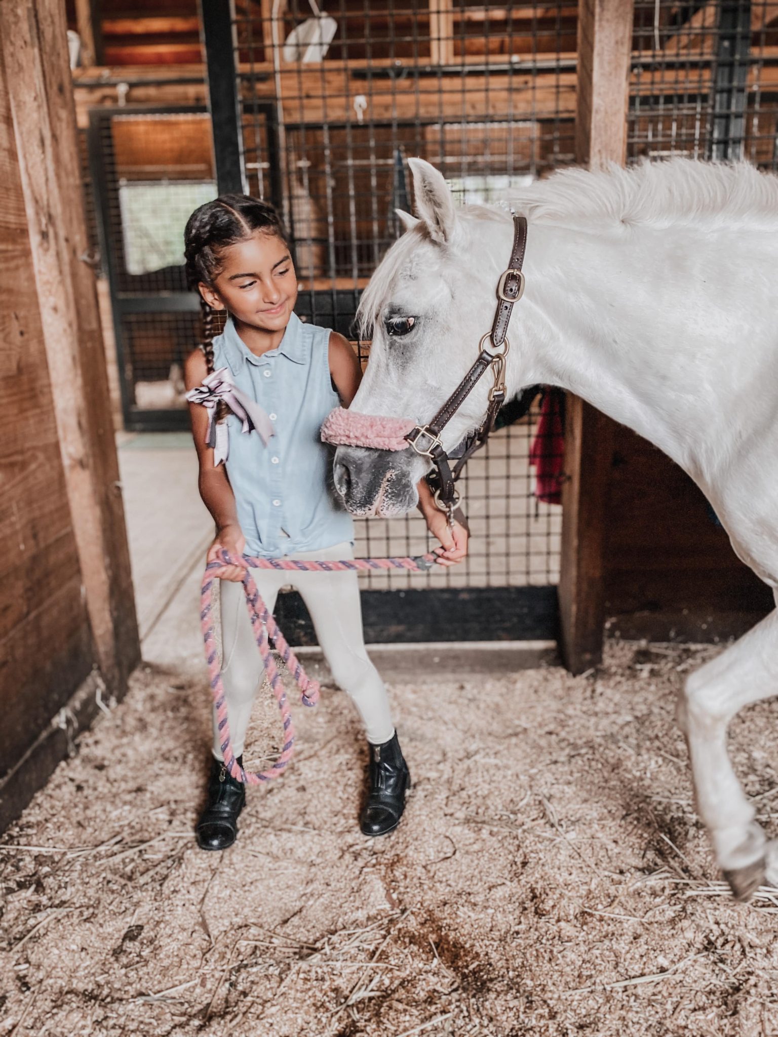 Bonding 101: How To Approach Your Horse for Success - Horse Rookie