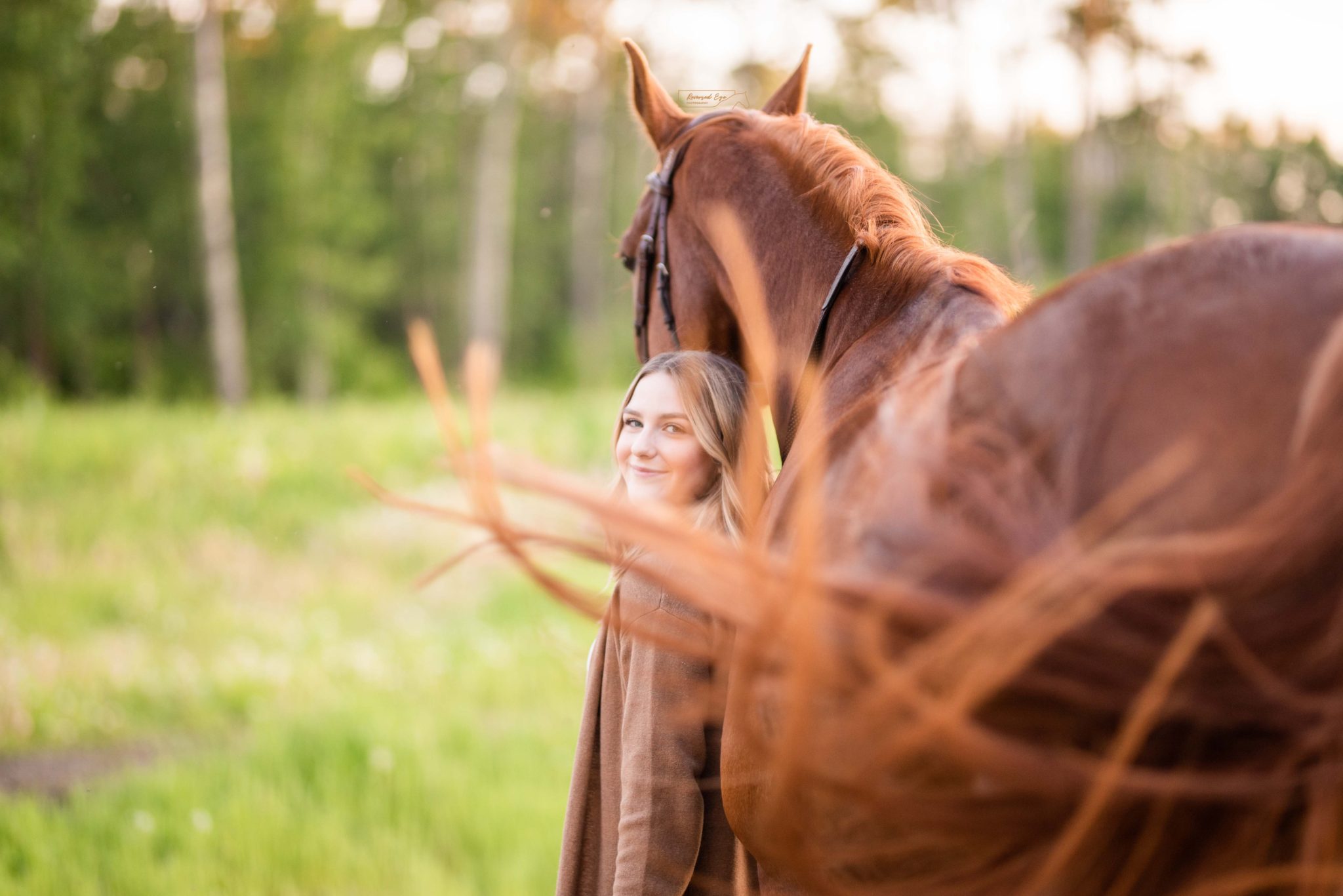 7 Tips to Prepare for the Perfect Horse Photo Shoot - Horse Rookie