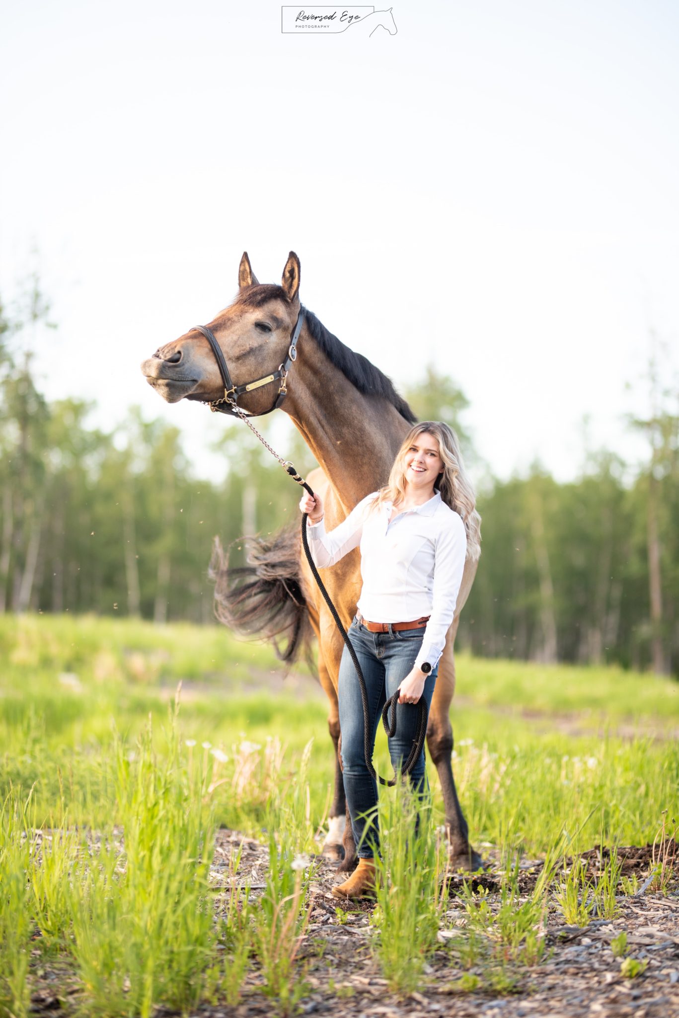 7 Tips to Prepare for the Perfect Horse Photo Shoot - Horse Rookie