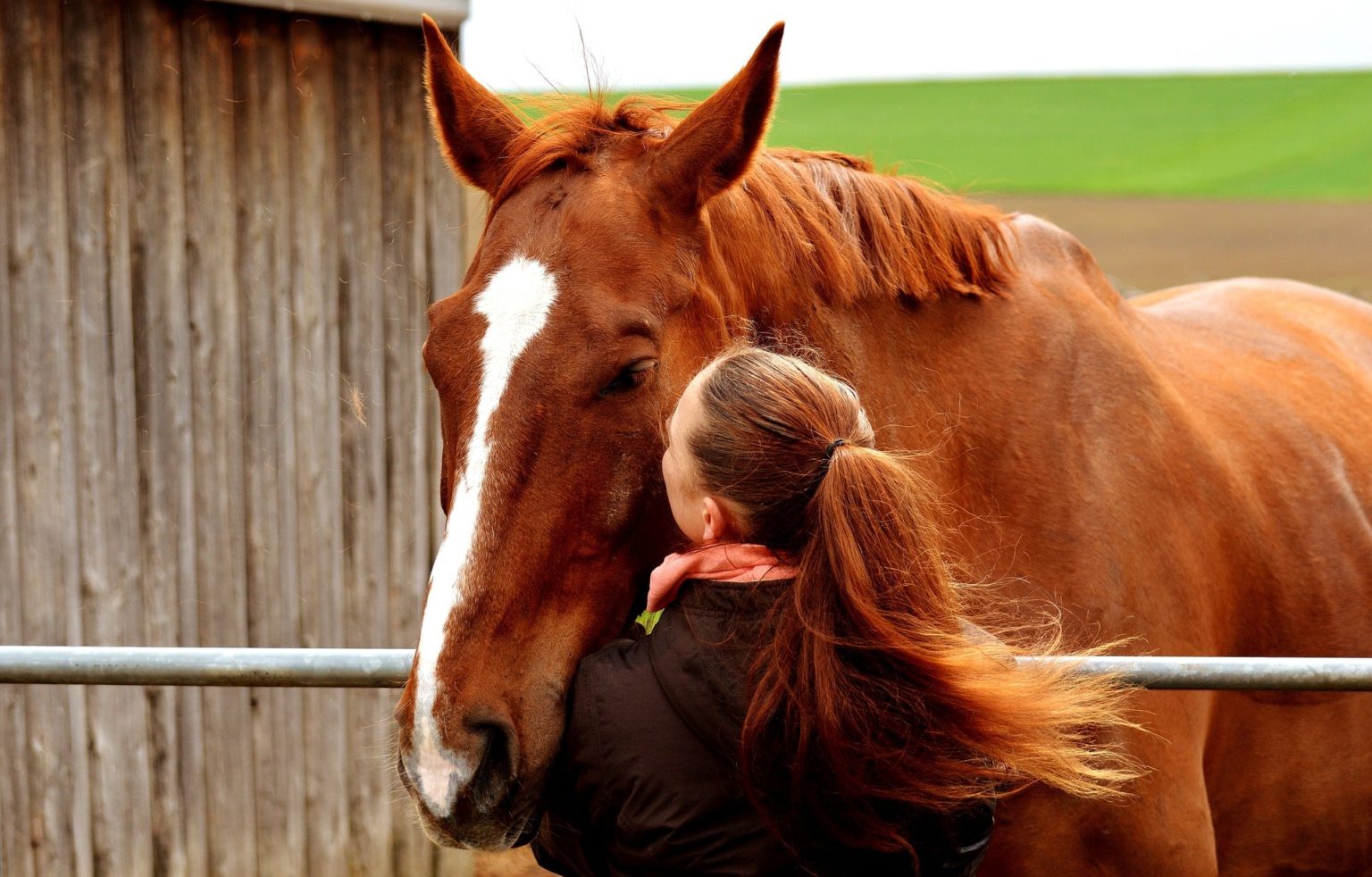 Bonding 101: How to Make the Most of Your Horse Time