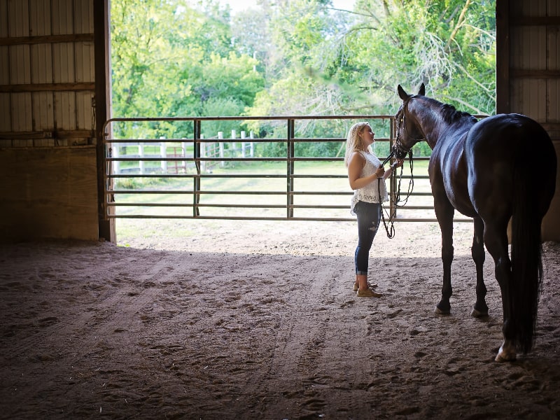 2 Simple Ways to Improve Your Horse Relationship Today