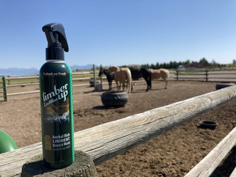 When, Why, and How to Use Liniment on Horses - Horse Rookie