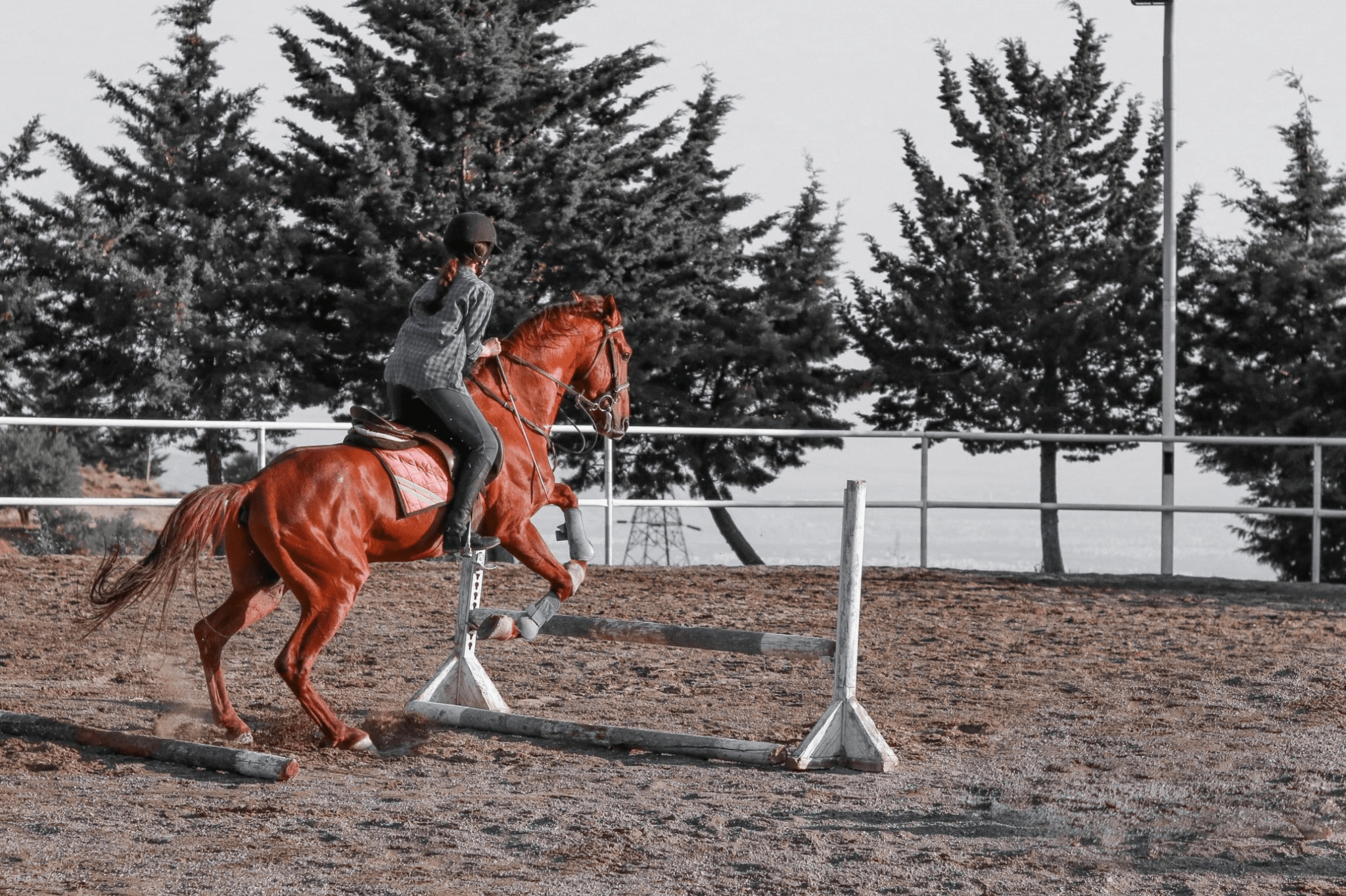 5 Bits of Advice for the Intermediate Horse Rider - Horse Rookie