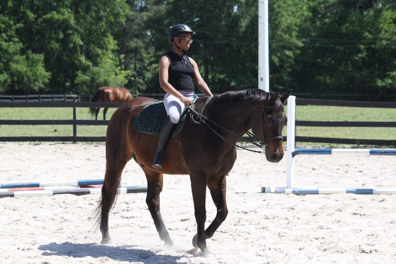 A Quick Riding Fix to Ease Up the Topline - Horse Rookie