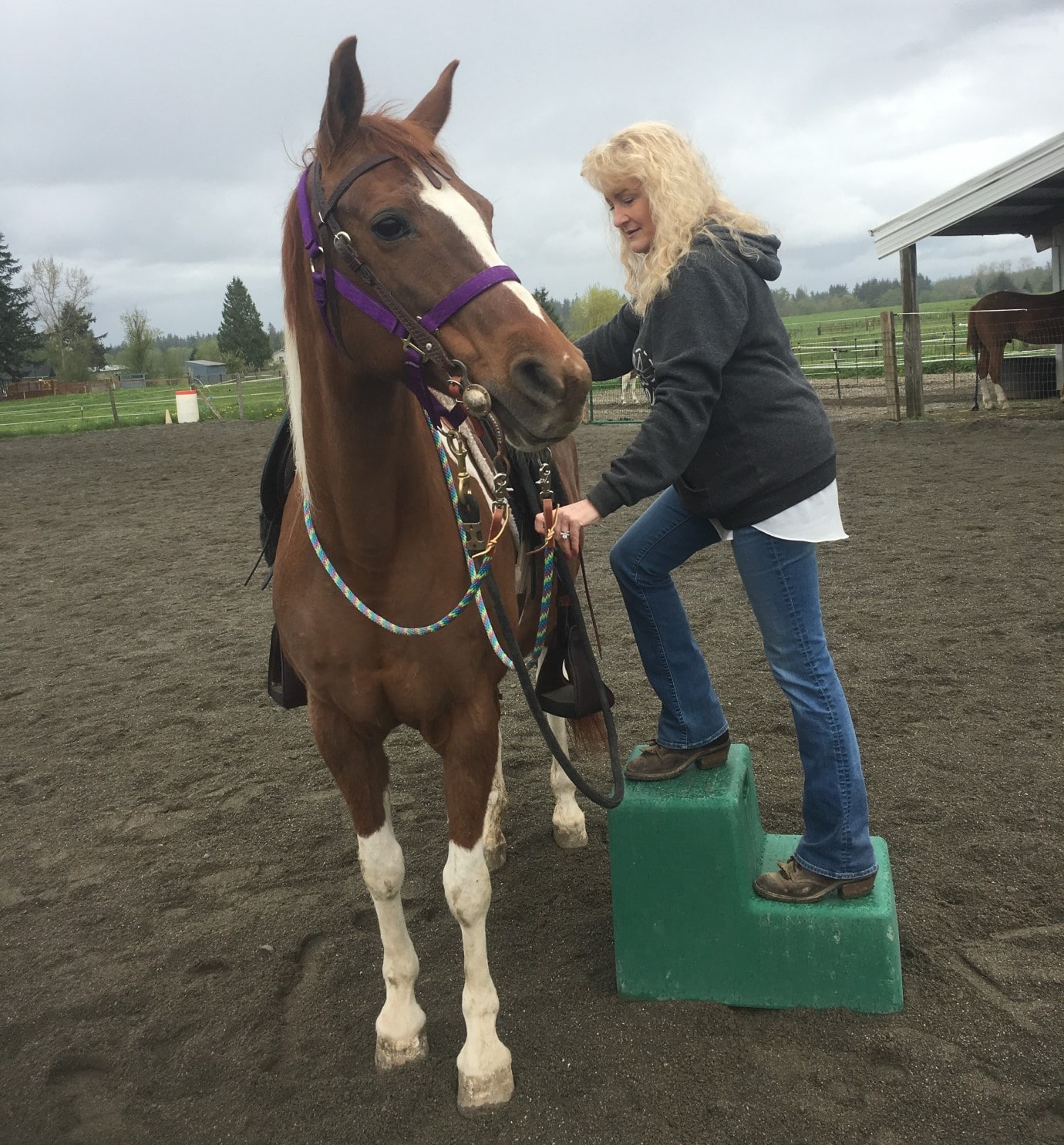 Case Study: Rose - Session Two - Horse Rookie