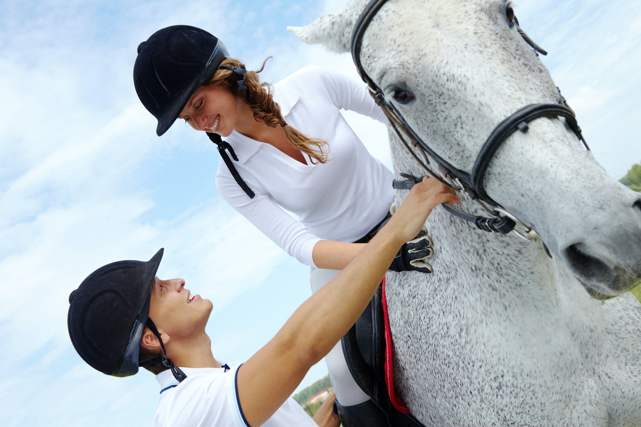 If equestrian girls were honest on their dating profiles - Horse Rookie