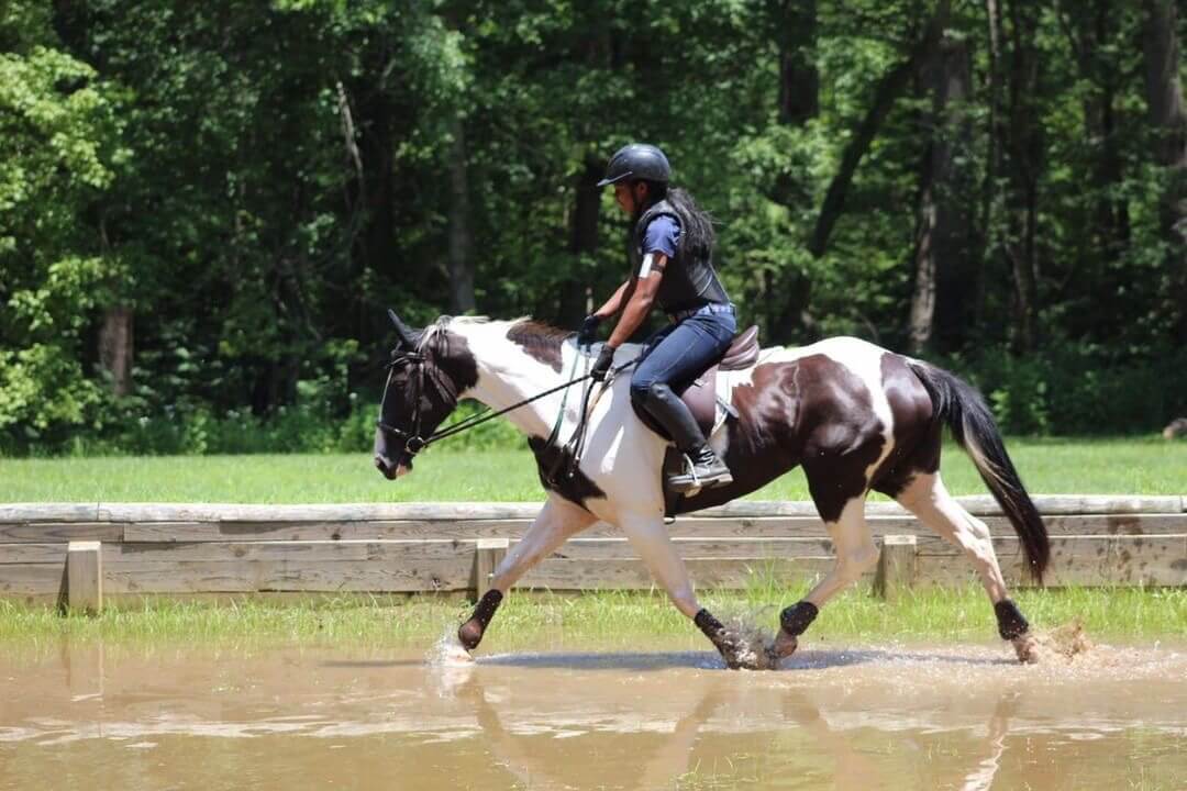 Letter to My Rookie Self: Sarah Harris - Horse Rookie