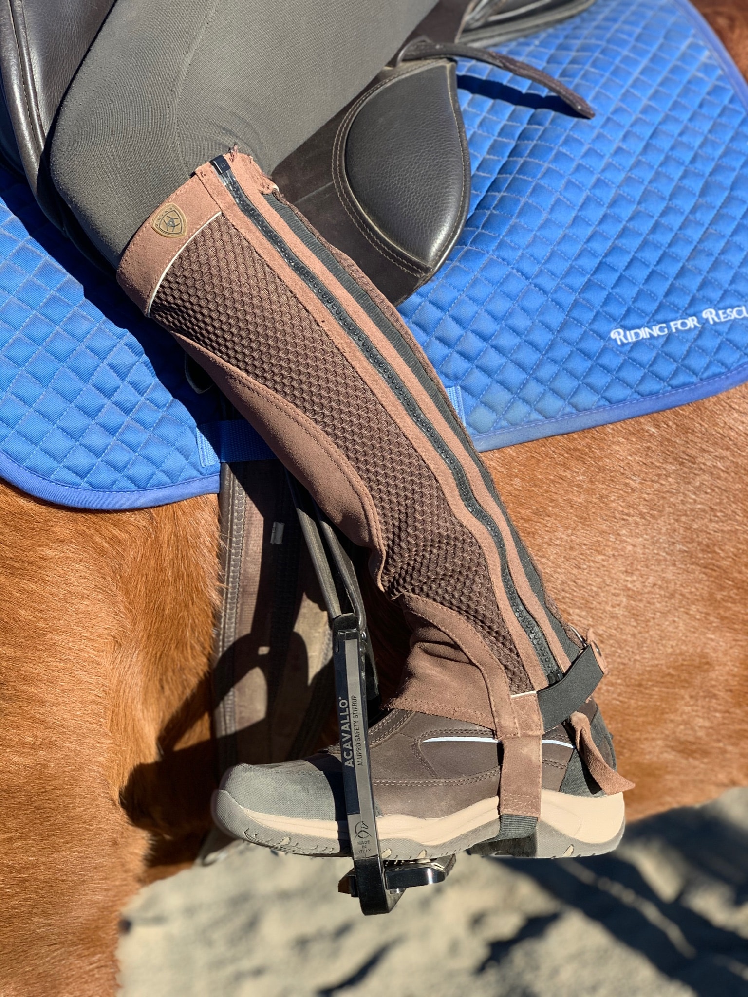 My New Forever Riding Boot (Ariat Telluride Boots Review) - Horse Rookie