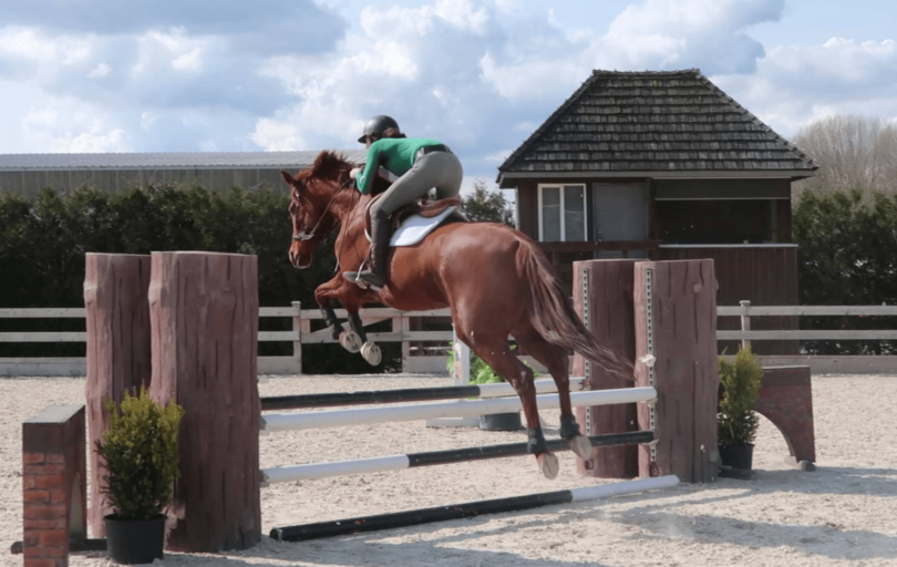 Horse Show Jumping: A Complete Beginners Guide