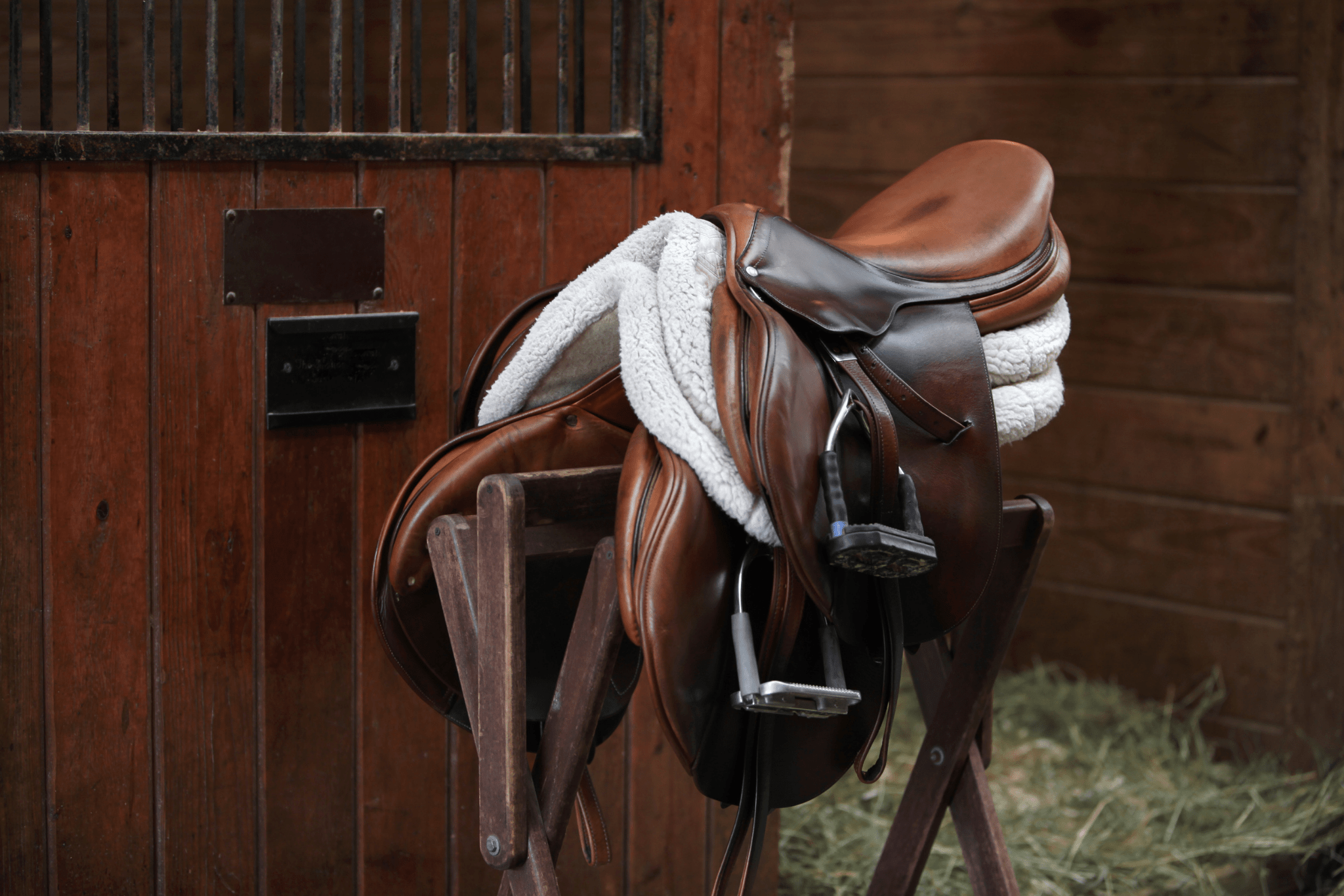 5 Best English Saddle Brands on the Market - Horse Rookie