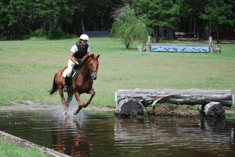 Horse Show Jumping: A Complete Beginners Guide