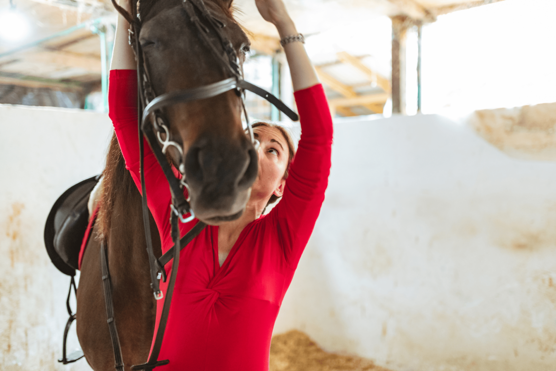 How much does horse tack cost? (English + Western) - Horse Rookie